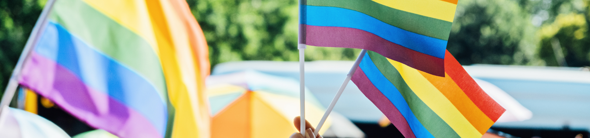 Blog | The Deeper Meaning of Pride Month | 2024